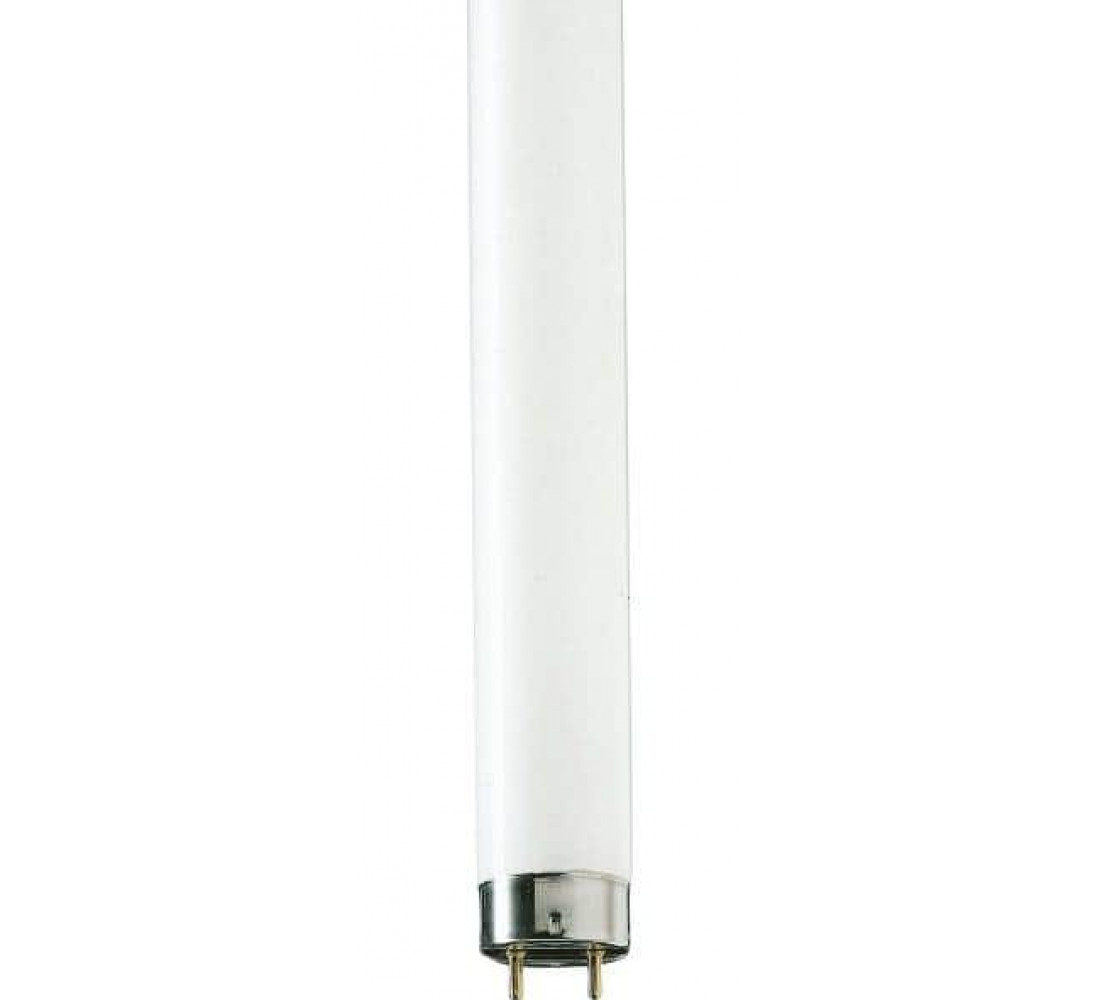 ლუმინესცენტური ნათურა Philips TL-D 36W-54-765 1SL-25 6200K 36W G13